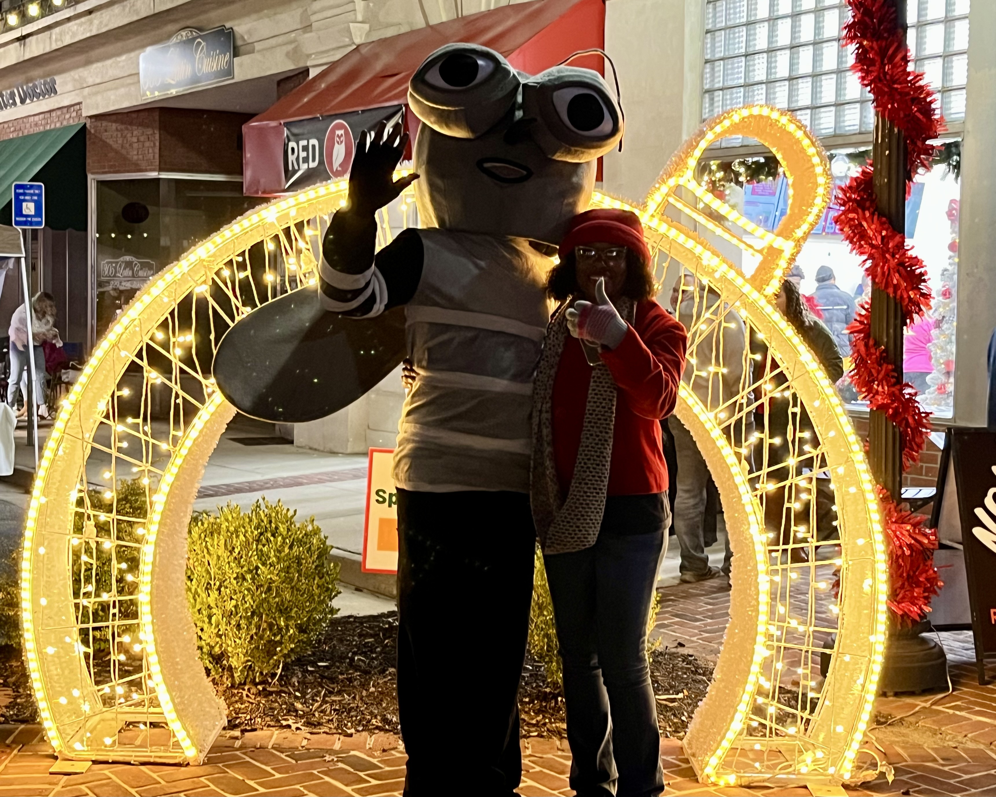 Gnat Drop to spread its wings in preparation for 2025 | Tifton Gazette