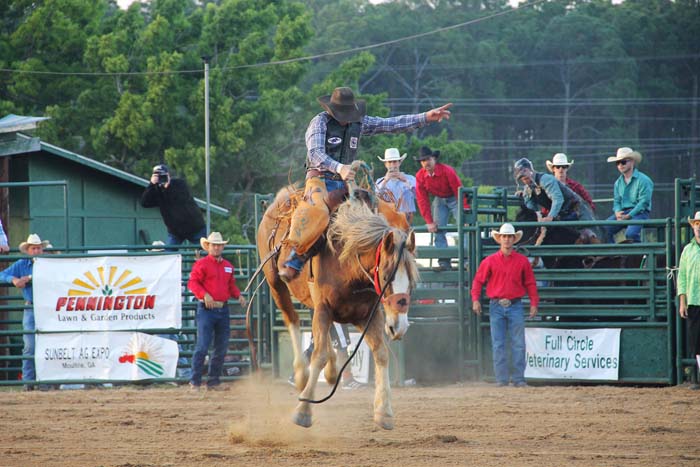 Gee Haw Whoa Back Rodeo on April 5-6 | Tifton Gazette