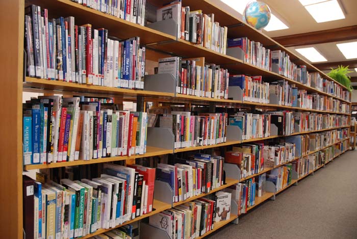 Patrons split on how fast libraries should move into the digital age ...