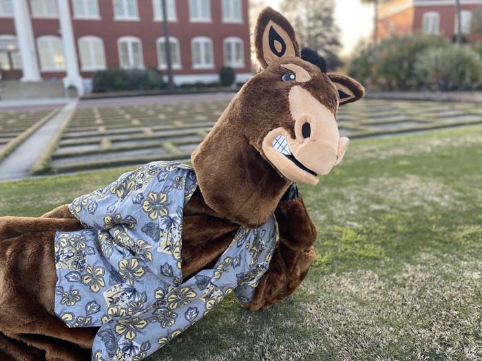 ABAC sets Stallion Staycation homecoming | Tifton Gazette