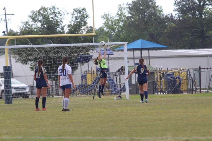 Tiftarea Academy Lady Panthers shut out Terrell | Tifton Gazette