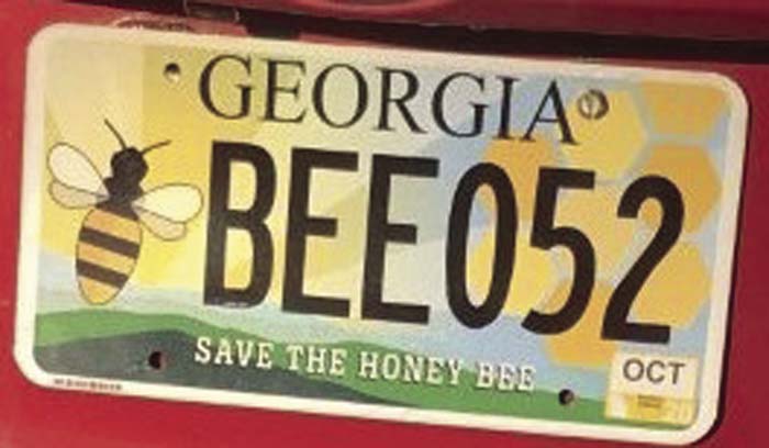 GA beekeepers association starts ‘Save the Honey Bee’ license plate ...