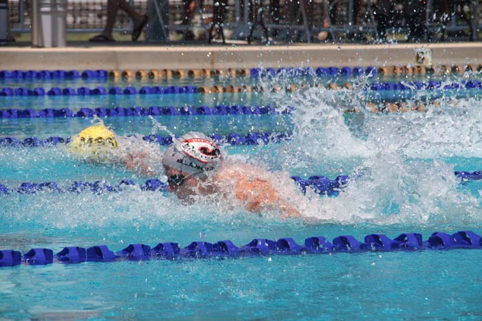 Tidal Wave win 46 races at district - Tifton Gazette | Tifton Gazette