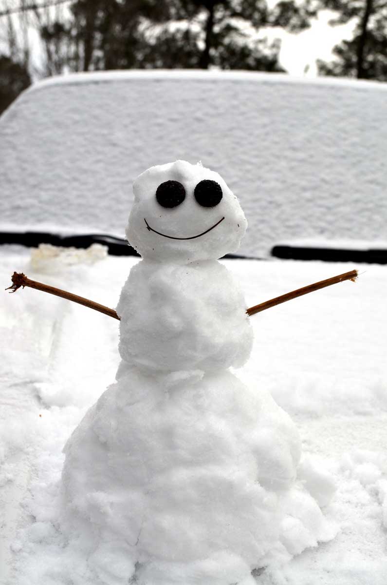 Forecasters: Snow possible in South Georgia next week | Tifton Gazette