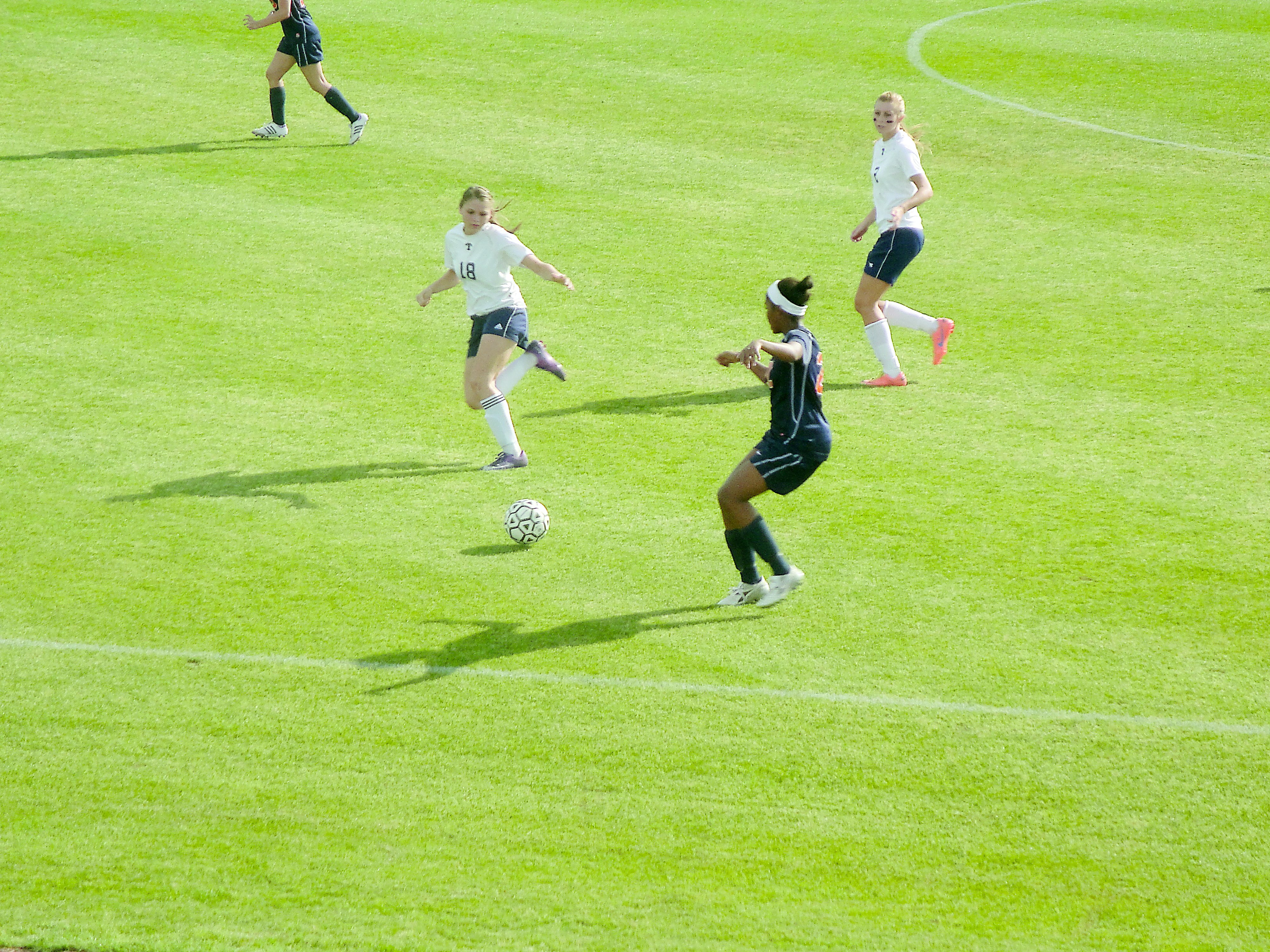 Lady Devils battle Druid Hills in second round | Tifton Gazette