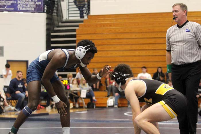 Mat Devils produce 3 champions, qualify whole roster for sectionals ...