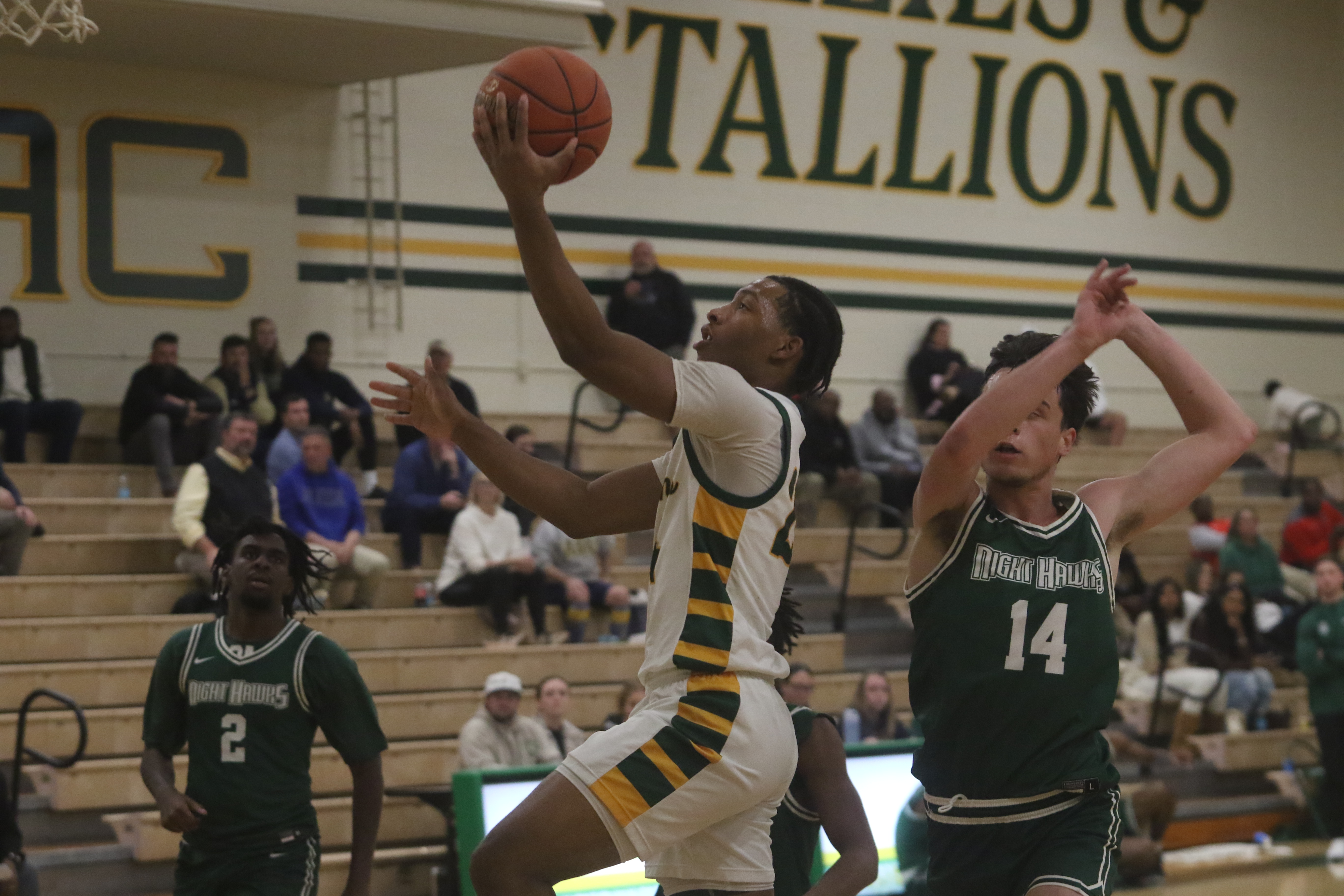 Stallions pull away from Thomas University in second half, 83-75 ...